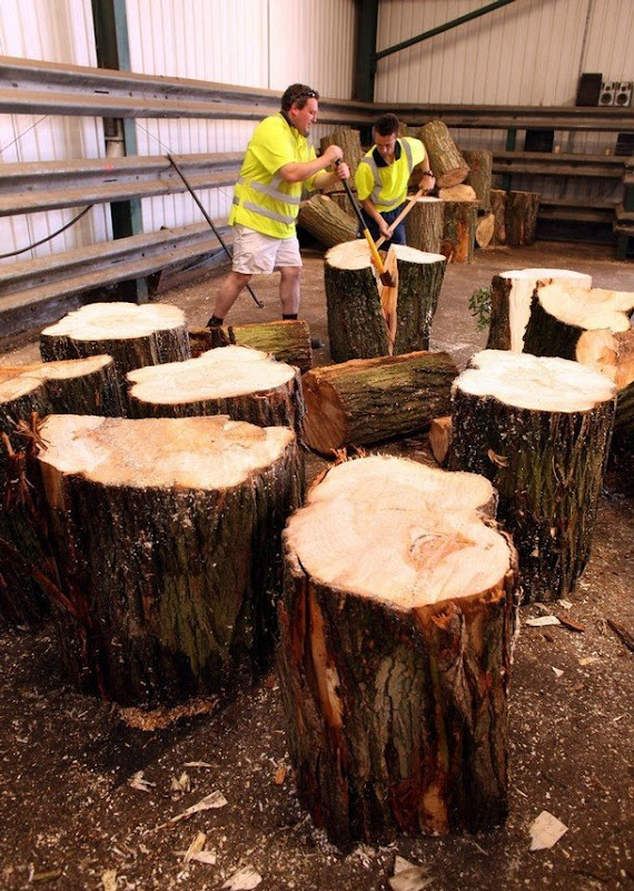 Inside a cricket bat manufacturing workshop | Amusing Planet